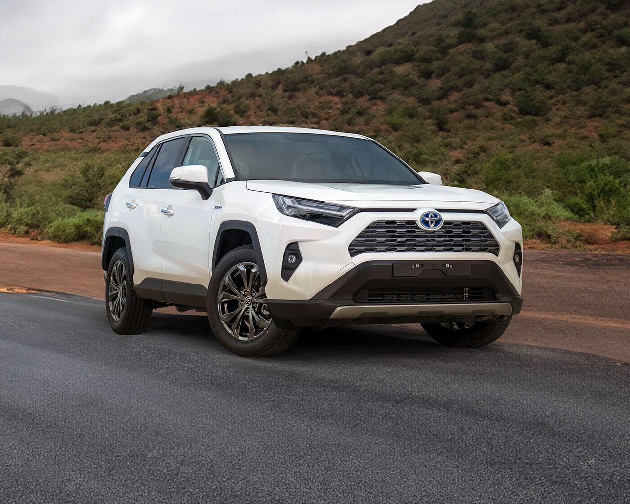 The RAV4 Hybrid | TGS
